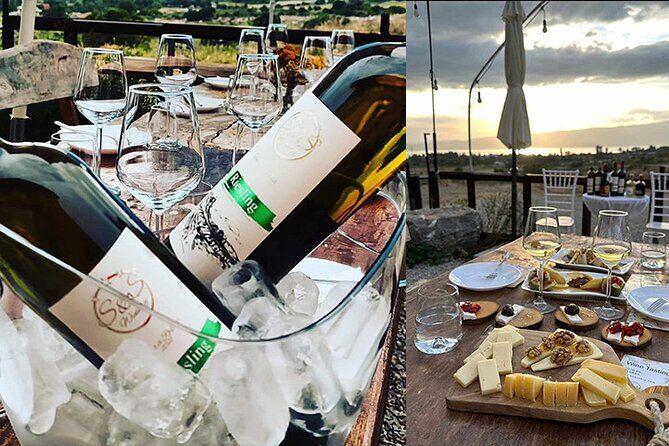S&S Winery - Wine Tasting Experience in Ohrid - Final Thoughts