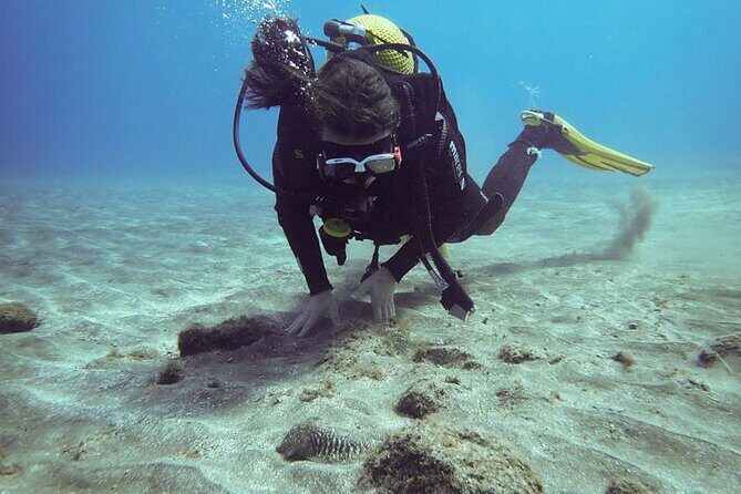 SSI basic diver In Tenerife - 2 Dives - Key Points