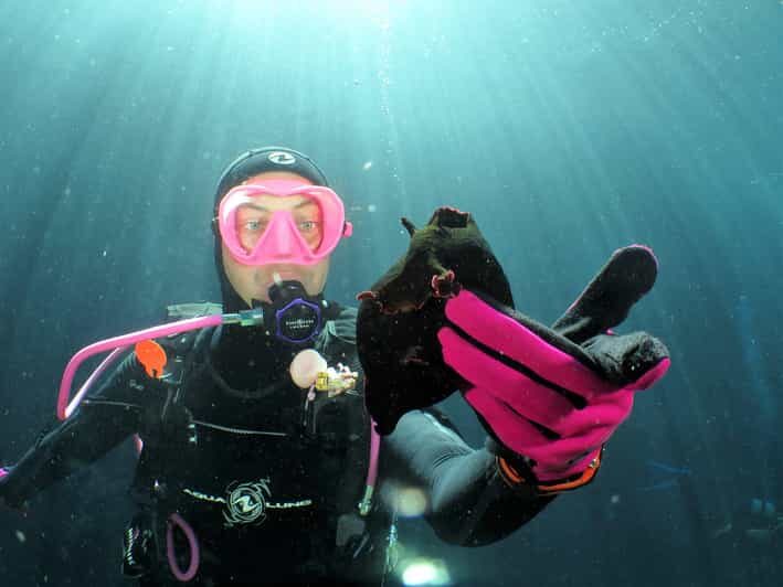 SSI Try Scuba Diving in the sea - Summary: Who Would Enjoy this Experience Most?