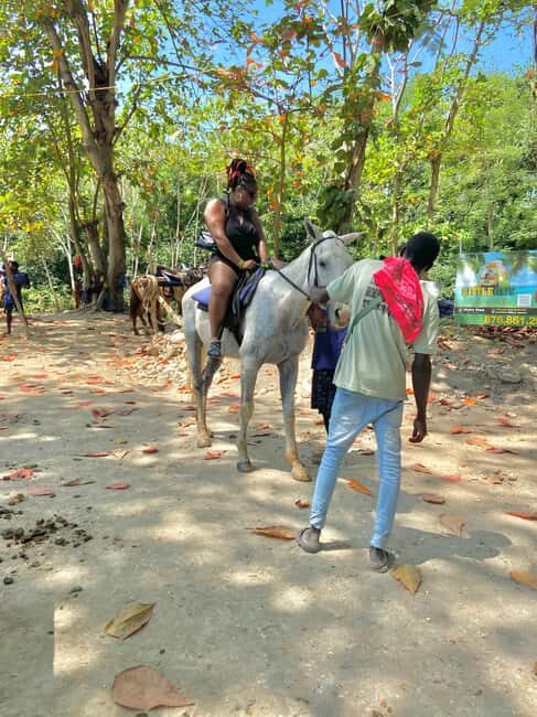 St. Ann: Horseback Riding in St. Anns Bay - Who Will Get the Most Out of This Tour?