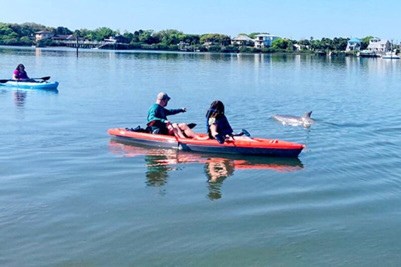 St. Augustine: Dolphin and Manatee Paddle or Kayak Tour - Introduction