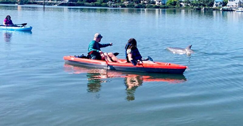 St. Augustine: Dolphin and Manatee Paddle or Kayak Tour - The Authentic Value of the Tour