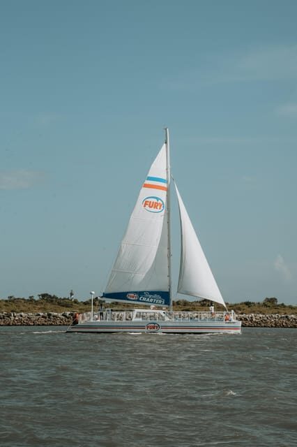 St. Augustine: Dolphin Watching Harbor Tour with Drinks - Who Will Enjoy This Tour?