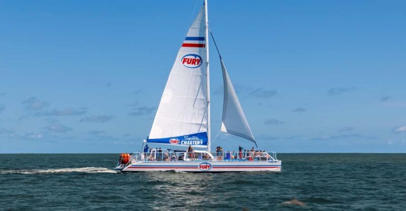 St. Augustine: Dolphin Watching Harbor Tour with Drinks - Key Points