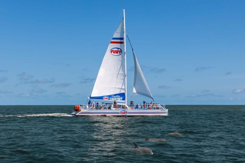St. Augustine: Dolphin Watching Harbor Tour with Drinks - A Fully-Featured Water Adventure: What to Expect