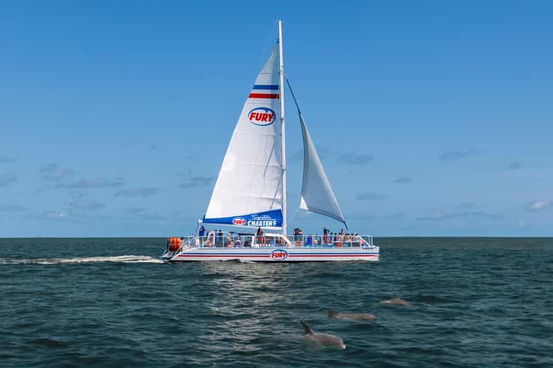 St. Augustine: Dolphin Watching Harbor Tour with Drinks - The Highlights and Drawbacks
