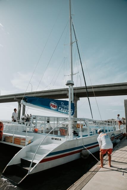St. Augustine: Dolphin Watching Harbor Tour with Drinks - Who Will Love This Tour?