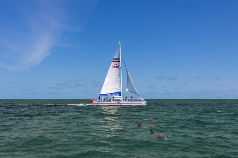 St. Augustine: Dolphin Watching Harbor Tour with Drinks - The Sum Up