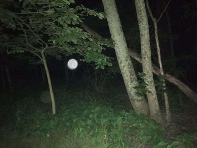 St. Augustine: Evening Paranormal Investigation Tour - Analyzing the Tour Experience