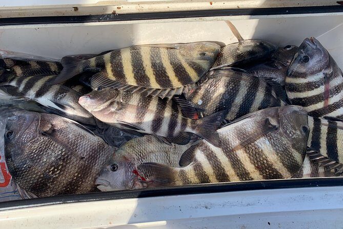 St. Augustine Fishing Charter-23' - Exploring the St. Augustine Fishing Charter-23 Experience
