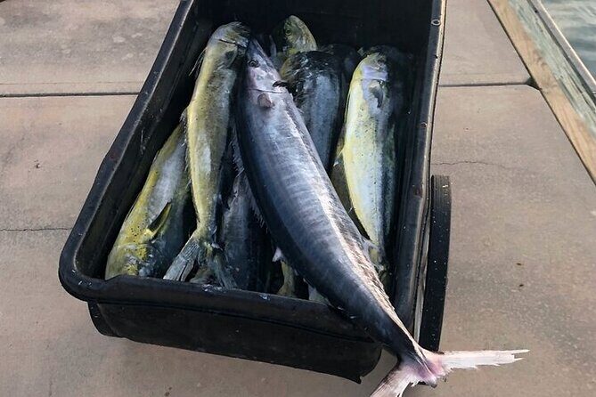 St. Augustine Fishing Charter Experience - The Sum Up: Who Is This Tour Best For?