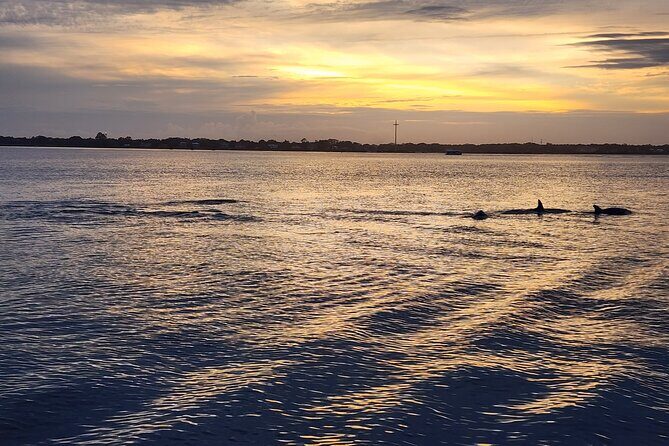 St. Augustine Private Day or Sunset Boat Tour, 6 passengers max - What to Expect on the St. Augustine Sunset Boat Tour
