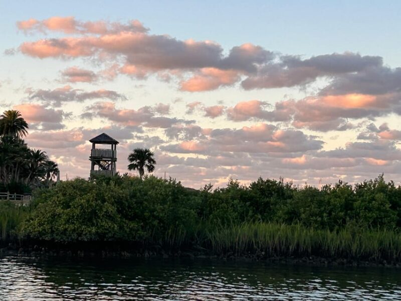 St. Augustine: Sunset Boat Tour with Dolphin Spotting - An In-Depth Look at the Experience