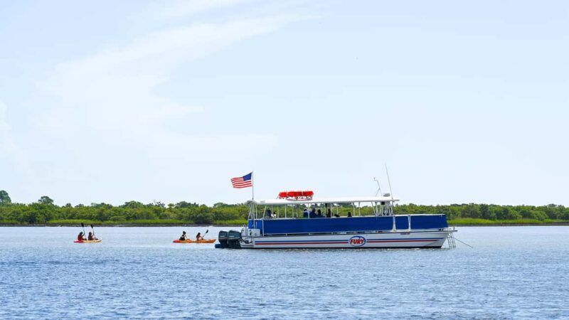 St. Augustine Wildlife Adventure: Boat Cruise & Kayak Tour - The Itinerary: What to Expect