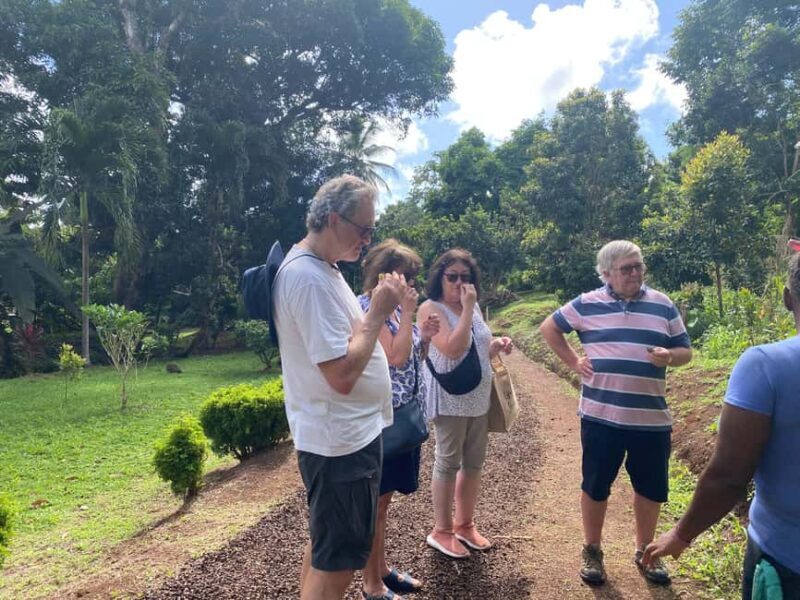 St. George's: Half-day spice and waterfall tour - An introduction to Grenadas aromatic riches