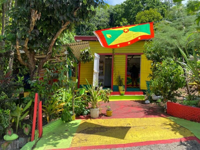 St. George's: Half-day spice and waterfall tour - Who this tour is best for