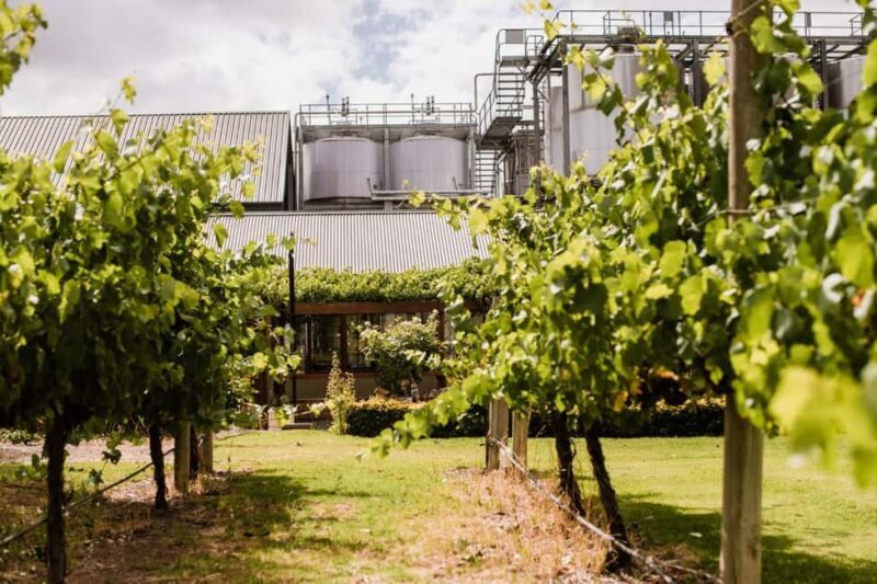 St Hallett - Barossa Masters of Shiraz Tasting & Platter - What Travelers Are Saying