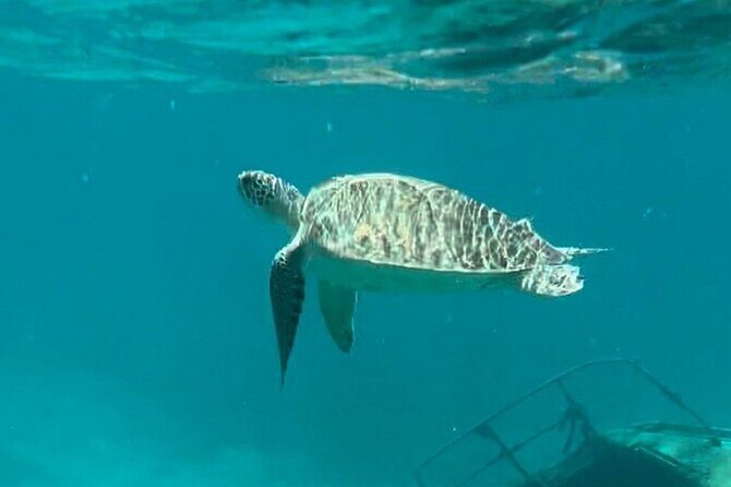 St John -Jeep Ride with A Guide! Customize Itinerary Your Way! - Authentic Reviews: What Past Travelers Say