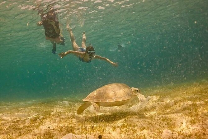 St John -Jeep Ride with A Guide! Customize Itinerary Your Way! - Who Will Love This Tour?