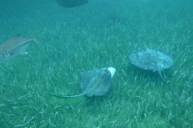 St John & Surrounding Cays - Full-Day Sail/Snorkel, 6 Guests Max - Final Thoughts: The Perfect Balance of Relaxation and Discovery