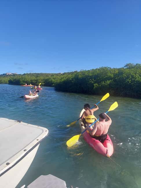 St. John's, Antigua Kayak, Snorkeling, & Beach Bird Island - A Closer Look at the Tour Itinerary and Experience