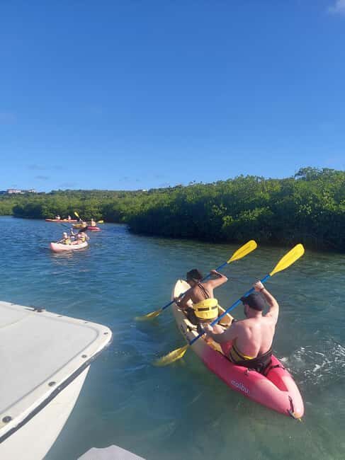 St. John's, Antigua Kayak, Snorkeling, & Beach Bird Island - Final Thoughts: Who Will Love This Tour?