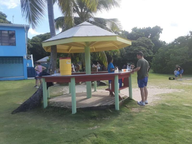 St. John's; Combo Laviscount Island & Swimming with Stingray - Key Points