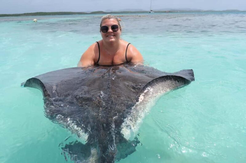 St. John's; Combo Laviscount Island & Swimming with Stingray - Price & Value Considerations