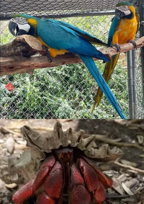 St. John's; Combo Laviscount Island & Swimming with Stingray - Who Would Love This Tour?