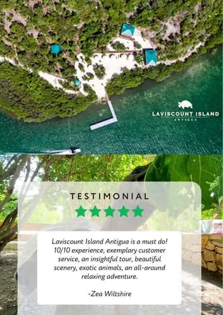 St. John's; Combo Laviscount Island & Swimming with Stingray - The Sum Up