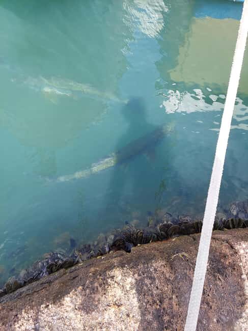 St. John's: Discover The Real Antigua Island Tour Experience - An In-Depth Look at the Tour Itinerary