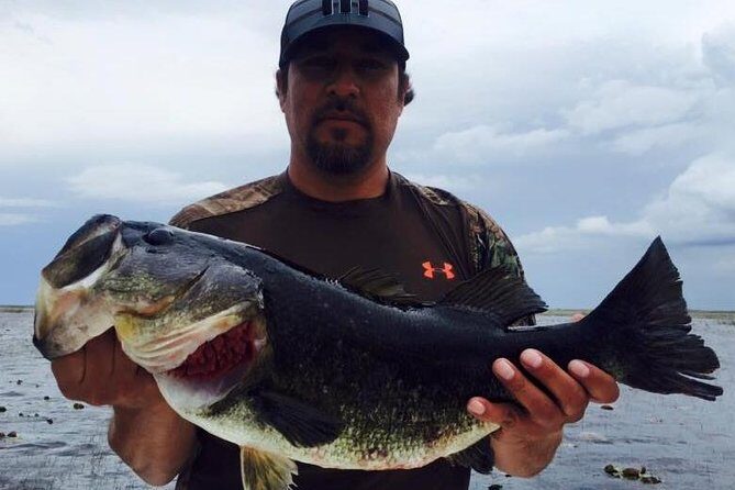 St Johns River Fishing Trip near Daytona - Who Will Love This Tour?
