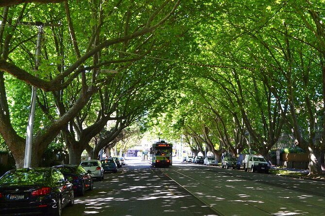 St Kilda Super Tour in Melbourne - A Closer Look at the Itinerary