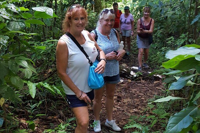 St Kitts Half-Day Rainforest Tour - Key Points