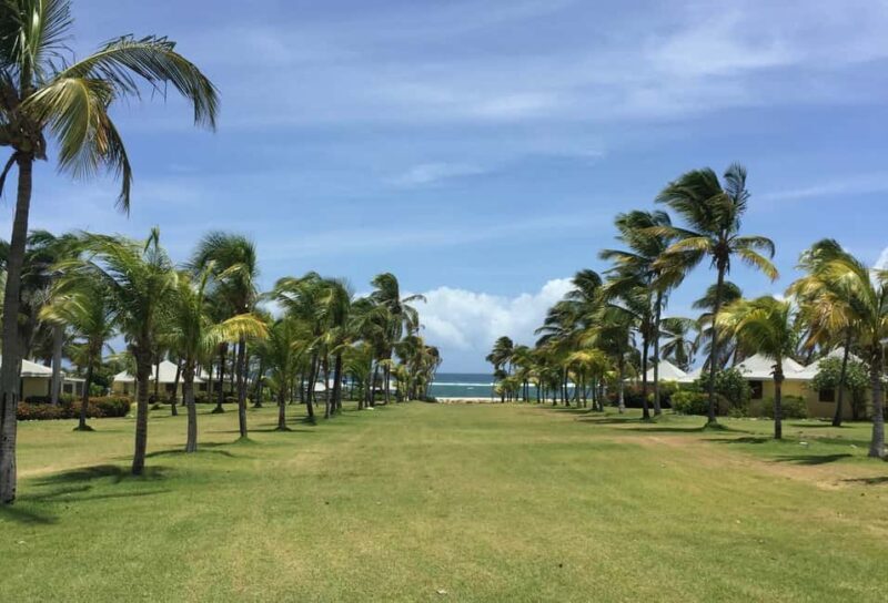 St. Kitts: Nevis Island Tour and Beach Time with Lunch - The Itinerary: A Closer Look
