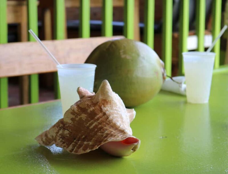 St. Kitts: Nevis Island Tour and Beach Time with Lunch - Final Thoughts: Who Will Love This Tour?