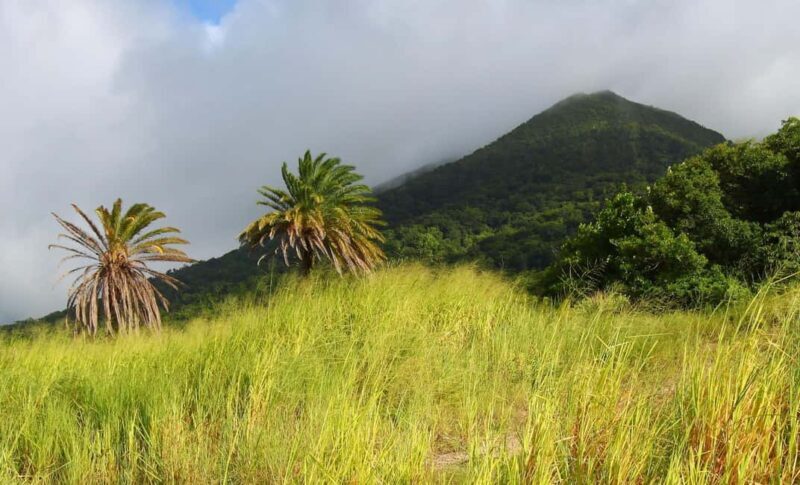 St. Kitts: Nevis Island Tour with Lunch and Guide - What Some Travelers Say