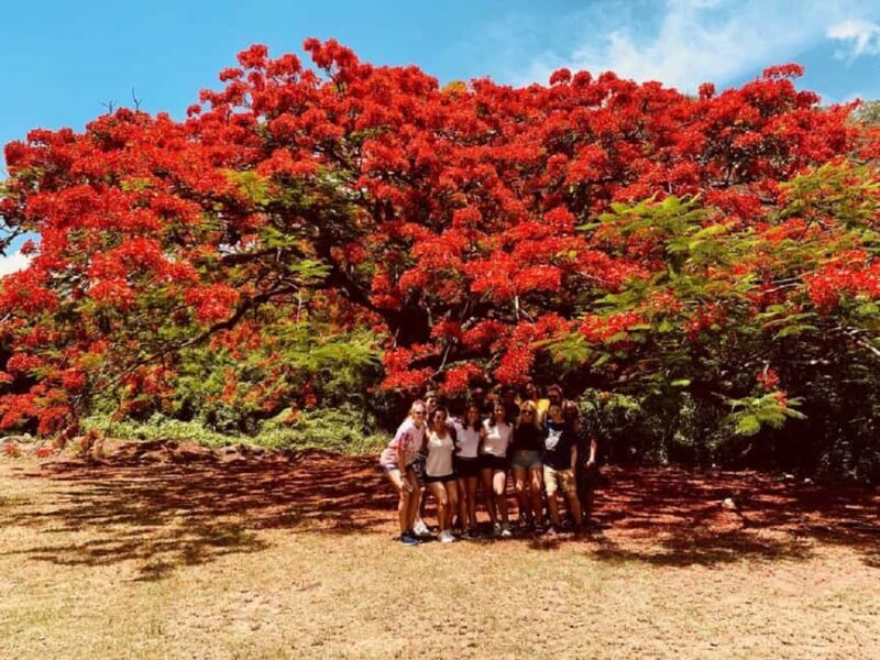 St. Kitts: Private Island Highlights Shore Excursion - An Honest Breakdown of the Tour Experience