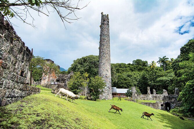 St Kitts Rainforest Tour - Final Thoughts