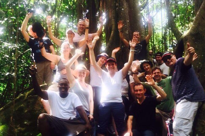 St. Kitts Rainforest Tour - An Introduction to the St. Kitts Rainforest Tour