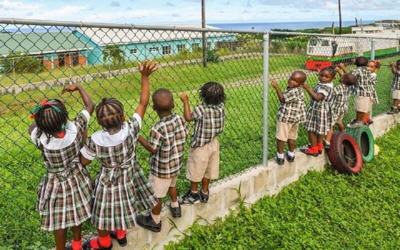 St.Kitts Sugar Train Tour with Pick Up & Drop-Off From Port. - Who Would Enjoy This Tour?