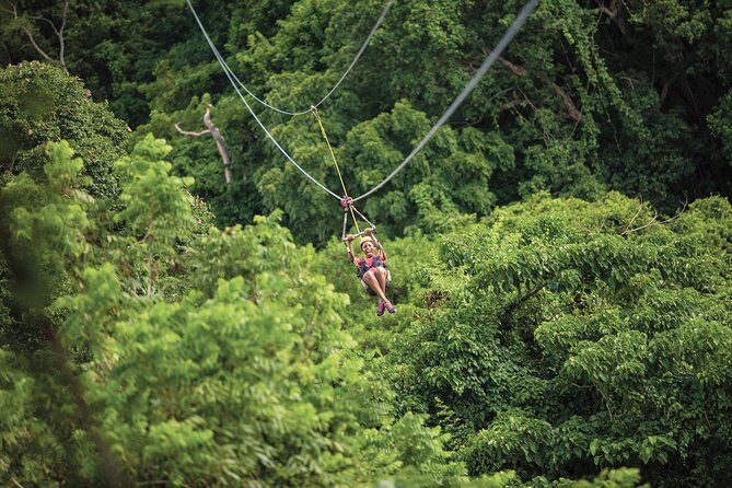 St. Kitts Zipline Experience - The Itinerary in Detail: What to Expect