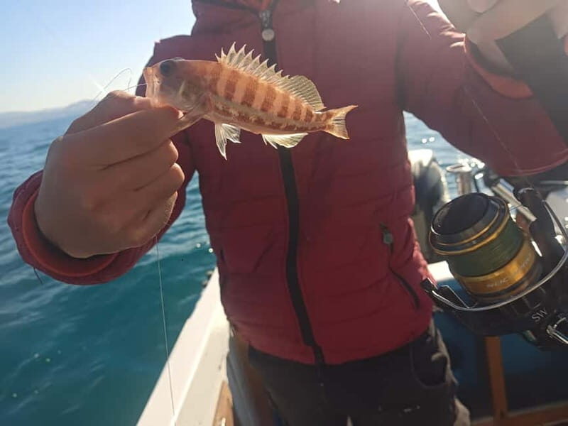 St. Leo: Boat fishing lesson - Practical Tips for Booking