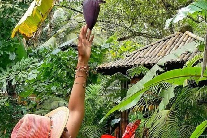 St Lucia Airport Transfer to Fond Doux Resort - Who Would Benefit Most?