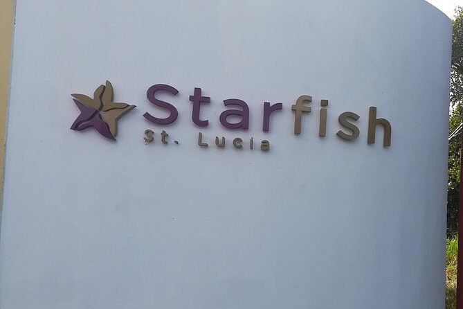 St Lucia Airport Transfer to Starfish St Lucia - Authentic Experiences and Feedback
