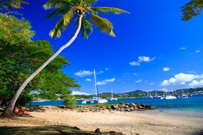 St Lucia Airport VIP Services & Private Transfers - The Sum Up