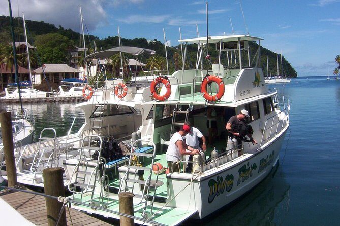 St Lucia Beginner Scuba Diving Tour - Starting Point and Transportation