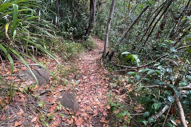 St Lucia Billy Goat Trail Hike in Marigot Bay Saint Lucia - Who Should Consider This Hike?