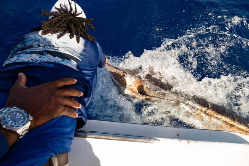 St. Lucia: Full-Day Private Fishing and Snorkeling Charter - Key Points