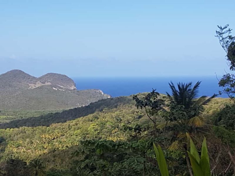St Lucia: Gros Piton 4-Hour Guided Hike - Final Thoughts: Is the Gros Piton Hike Worth It?